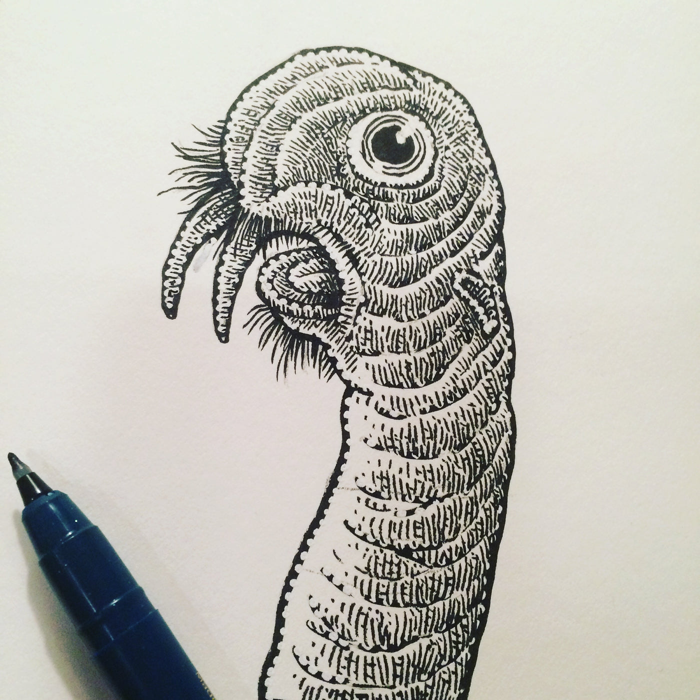 Sketching During Scourge - Calamityware®