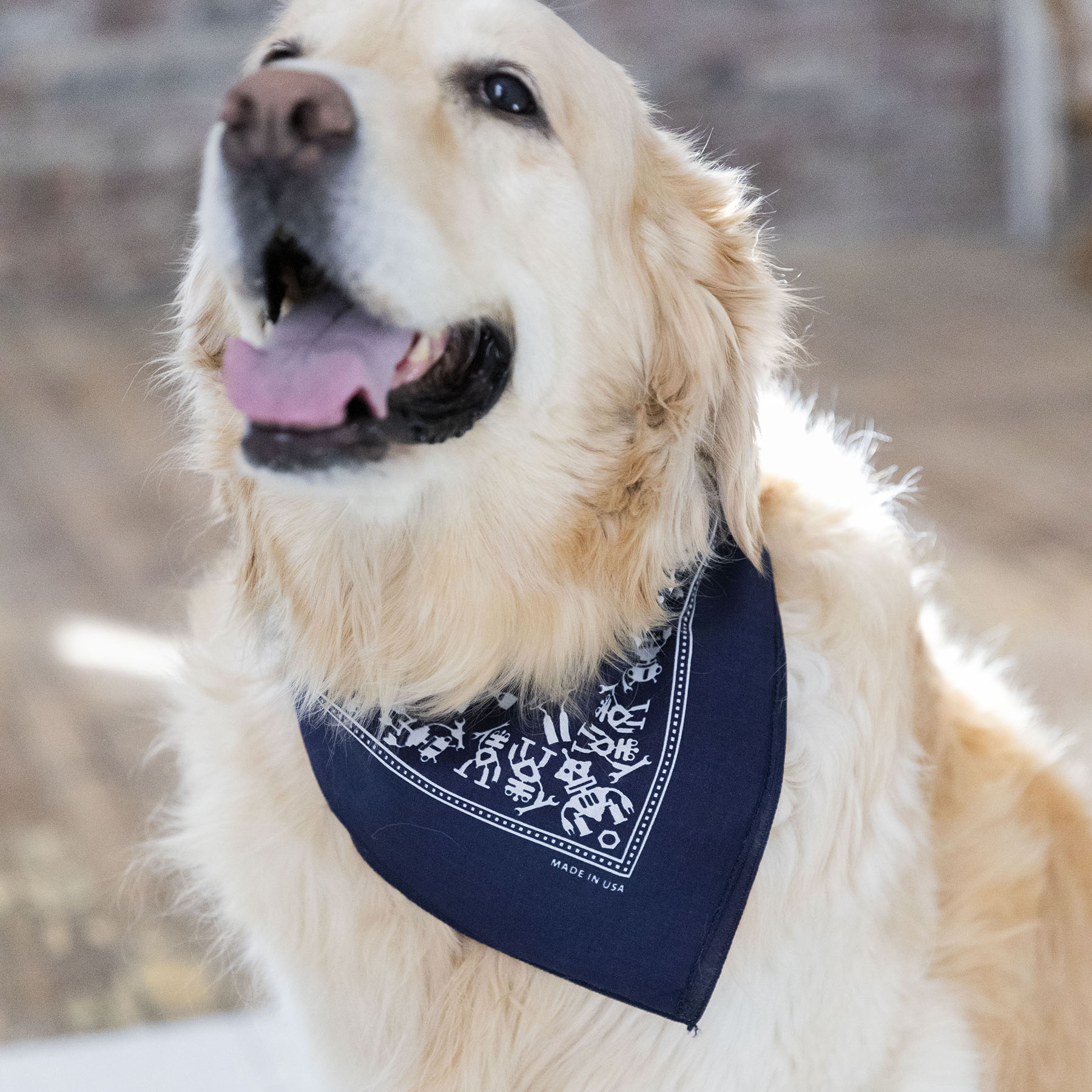 Robot Uprising BADbandana (3-Pack) - Calamityware®