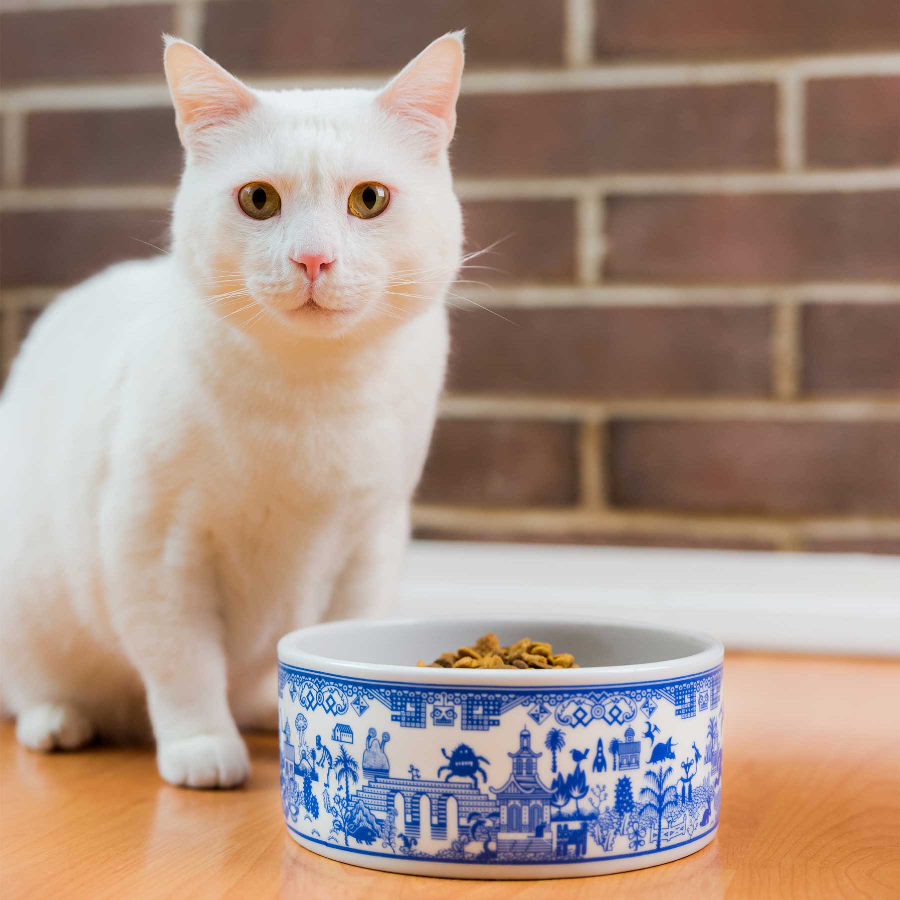 Shop All Tableware - Calamityware®